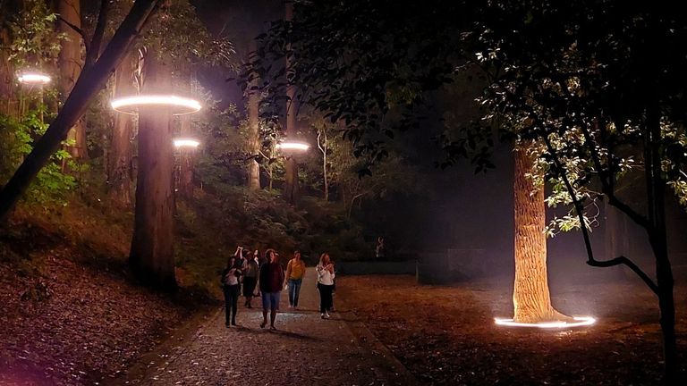 La instalación «Serralves em Luz» dibuja la magia de un Oporto onírico