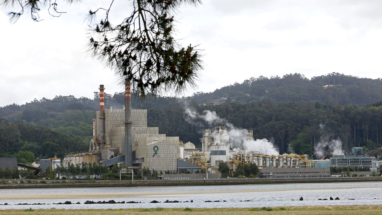 Ence: entre sentenzas e acción política