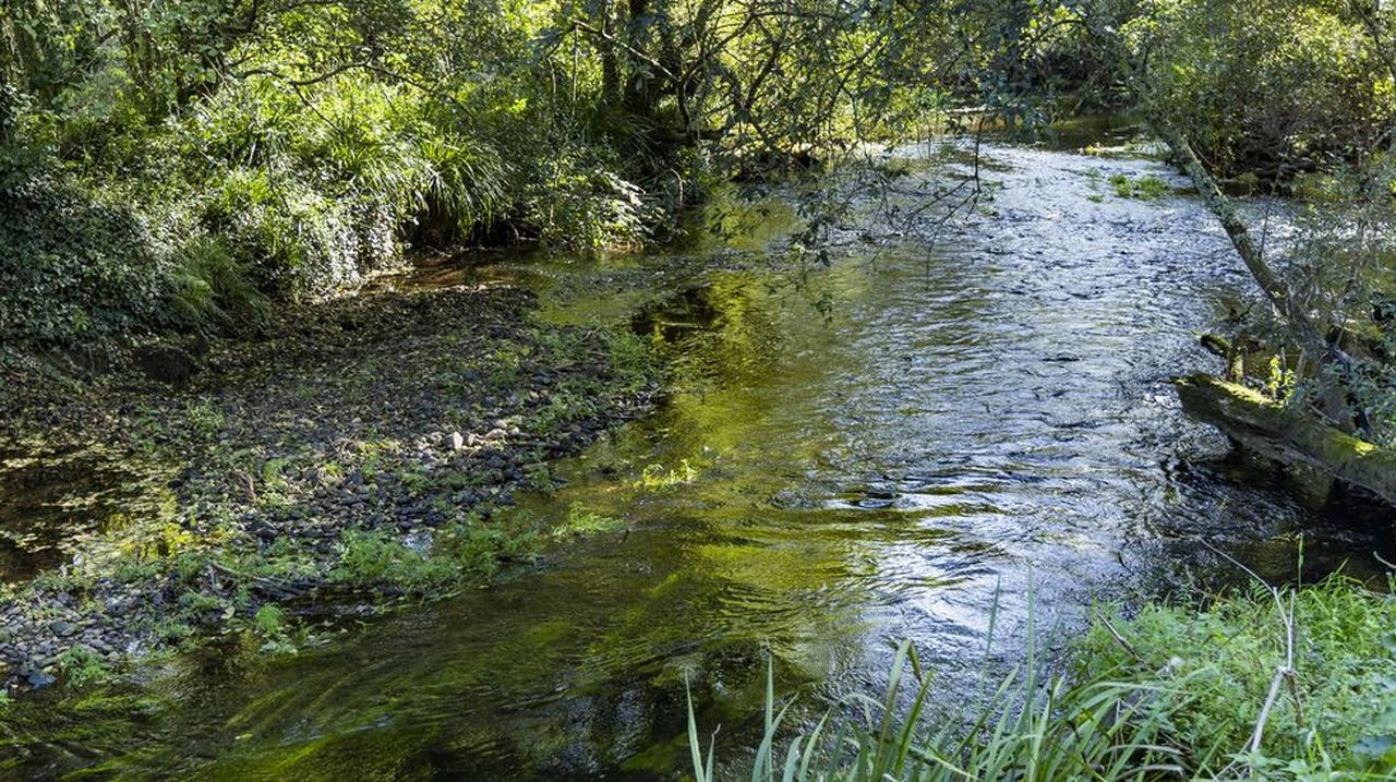 Sequía en pleno otoño: agua en cisternas para Monte Xalo