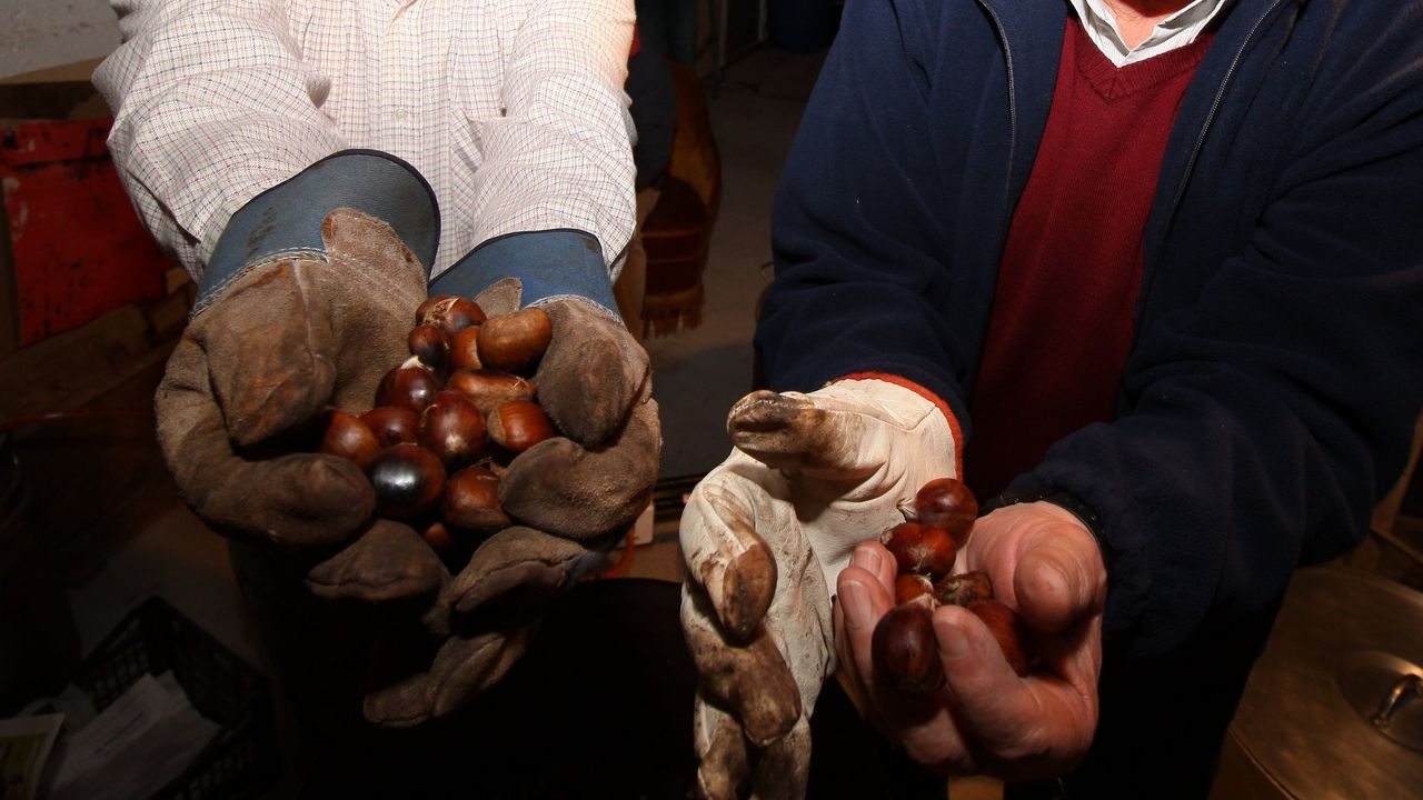 Último día de la exposición de Alberto Pena en Pontevedra