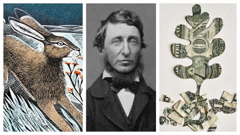 Los 44 inviernos de Thoreau