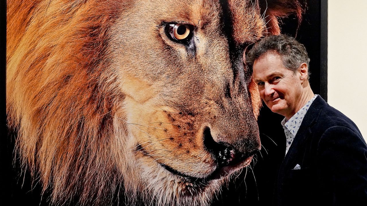 Tim Flach: «Retrato a animales que nos van a contar algo sobre su desaparición»