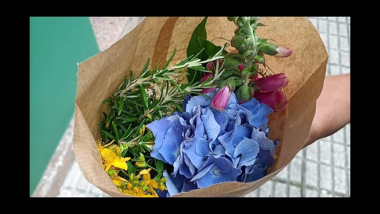 Organizan una recogida y un reparto gratuito de las siete hierbas de ...