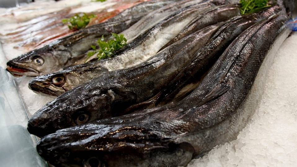 Las cofradías califican de decepcionantes las cuotas de la merluza y el ...