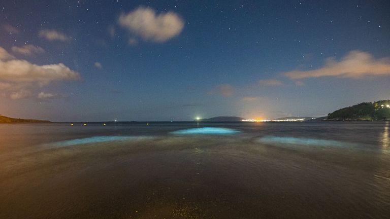 Cinco playas gallegas para disfrutar del Mar de Ardora