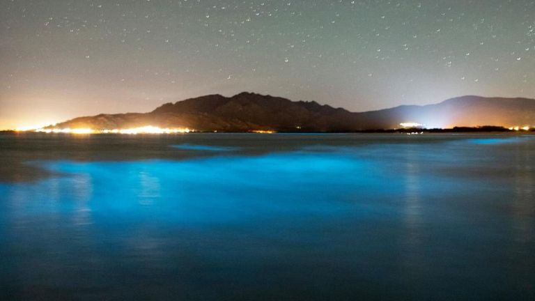 El mar de ardora y el cielo convierten a la playa de Carnota en un ...