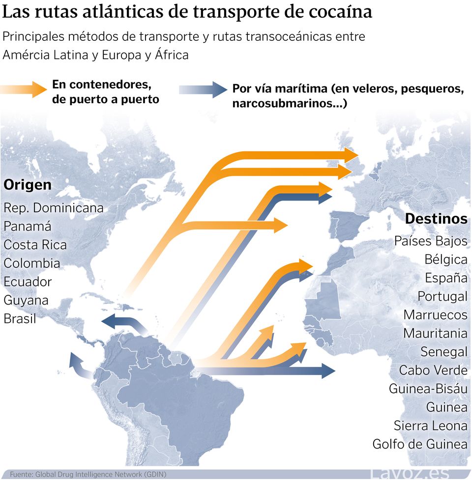 La hoja de coca mejorada genéticamente que llega procesada a Galicia