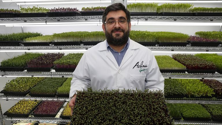 Las «plantas pijas» de Portonovo que son superalimentos