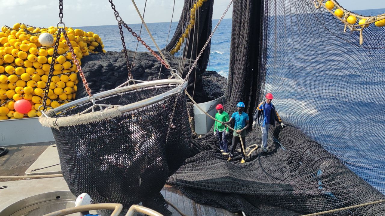 Barcos asiáticos «amenazan» el atún tropical en el Atlántico, denuncia ...