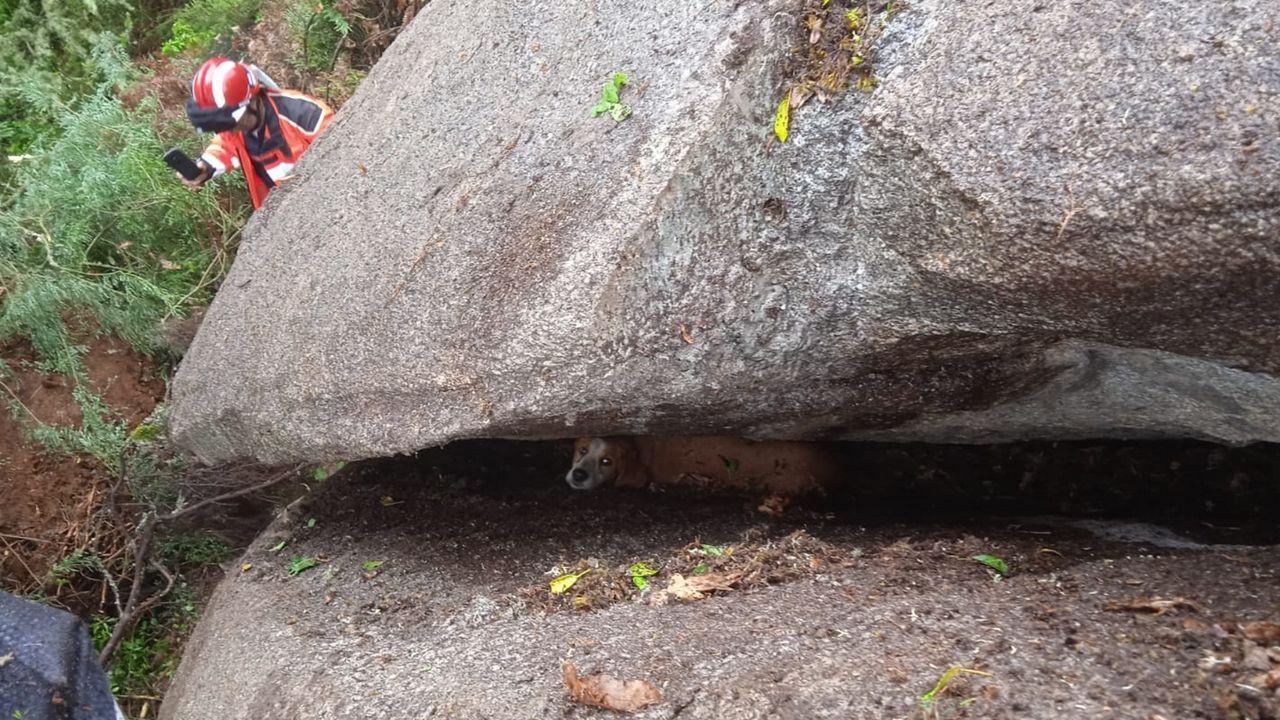 Rescatan en Chantada a un perro que llevaba 24 horas atrapado entre dos enormes rocas