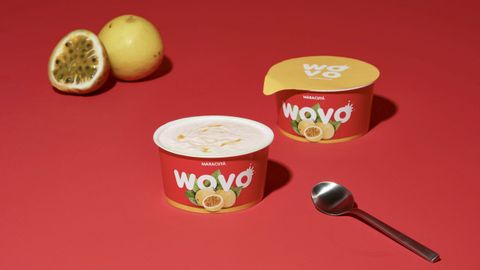 Llega Wovo, la alternativa lucense a los lácteos: bebidas y yogures sin gluten, grasa o lactosa