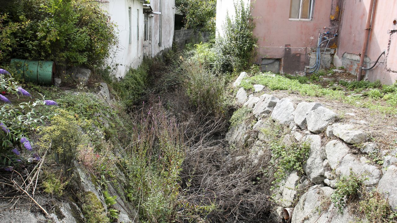 Maleza en los ríos y el parque Torrente Ballester