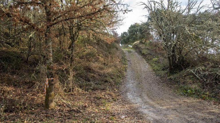 Una visita a la casa de Atilano en Cereixa