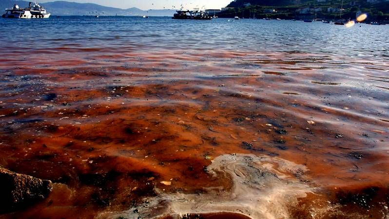 La marea roja invade las rías y obliga a cerrar el 80 % de los parques ...