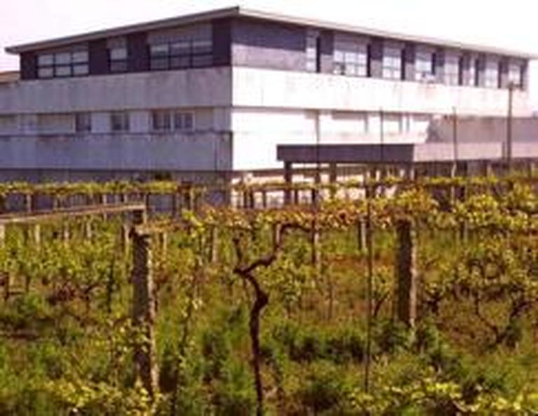 Educación saca a concurso las obras de ampliación del instituto ...