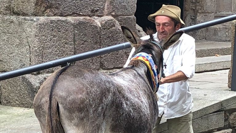 Un burro por los Cantones, en A Coruña