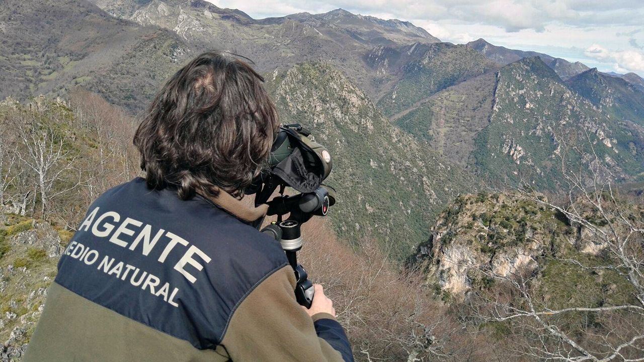 La mitad de las plazas de guardas forestales quedarán vacantes en 10 años