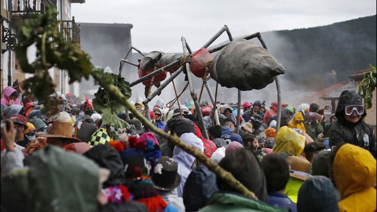 Laza non teme ás formigas foráneas