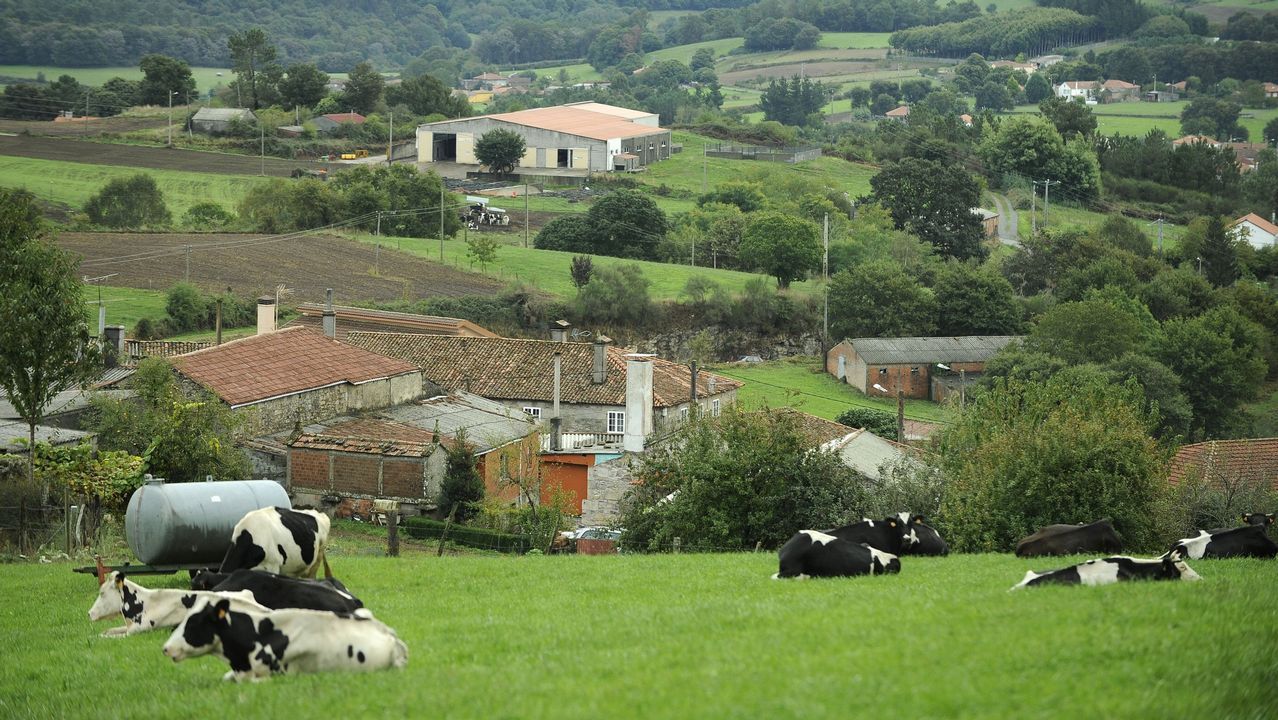 Moción del PSOE silledense para apoyar la enseñanza en las poblaciones ...