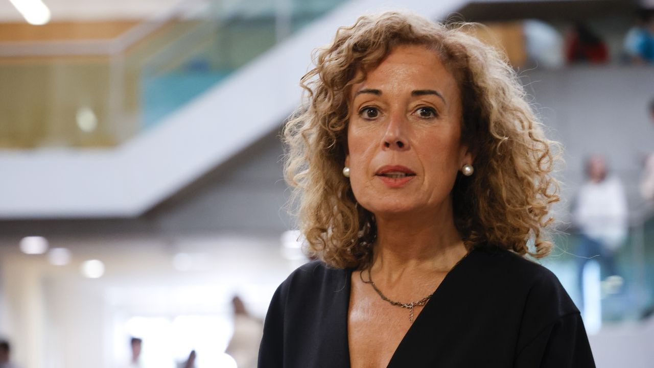 Ana Aba Catoira: «La inteligencia artificial ya nos trae de cabeza con ...