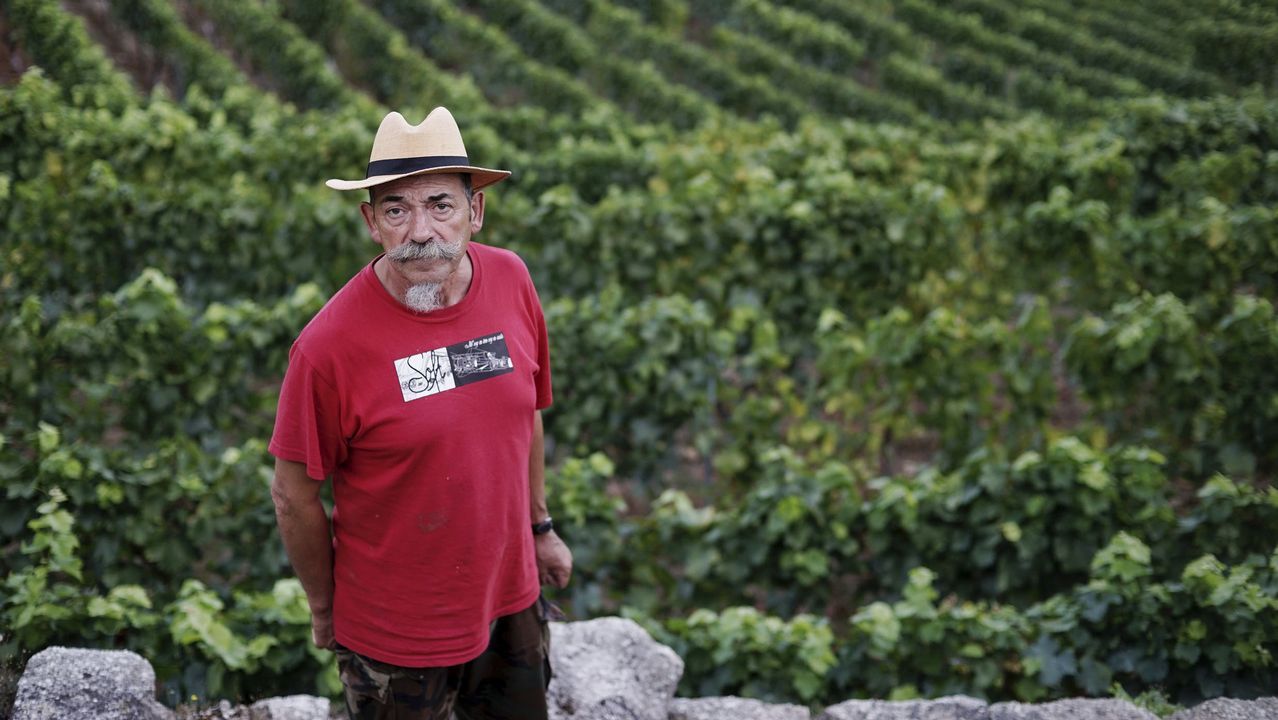 Pago de Carraovejas compra Viña Mein y Emilio Rojo, símbolos de O Ribeiro