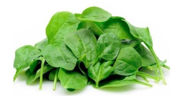 ¿Lechuga, espinacas o rúcula? Por qué es importante acertar con el ...