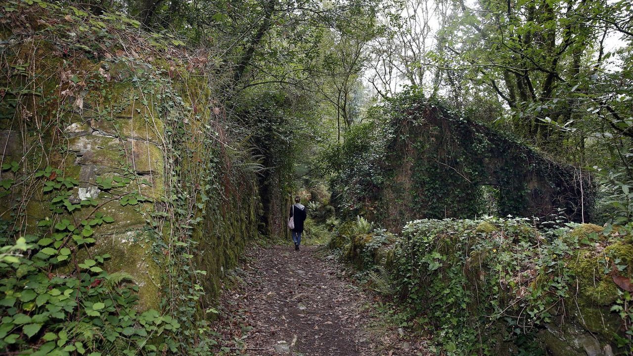 Refuerzo del papel de Agader para contribuir a la movilización de ...