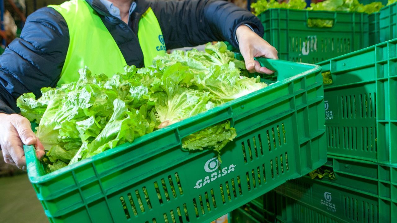 Gadisa retail amplía su centro logístico de frescos para dar impulso al ...