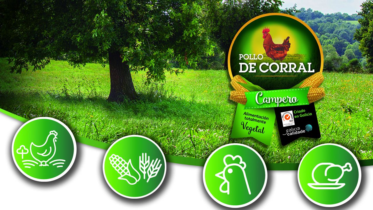 «Pollo de Corral» COREN, el sabor y la textura tradicional con la ...