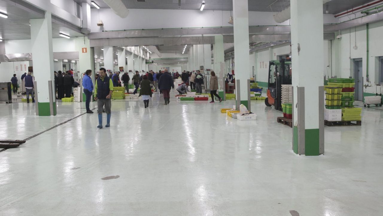 Decomisan más de 1.300 kilos de jurel en la lonja de A Coruña