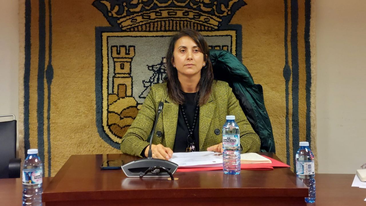 María Nogareda concurrirá a las elecciones con el partido Unidos por Sada