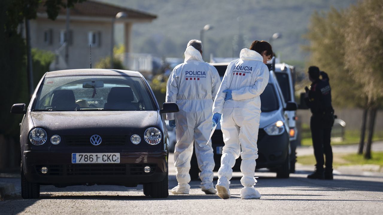 ¿Es adecuada la normativa española en materia de violencia vicaria?