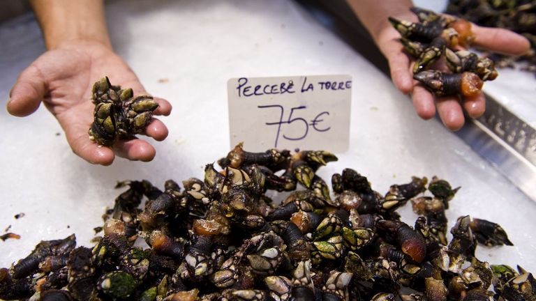 Decomisan una embarcación irregular para la extracción del percebe en ...