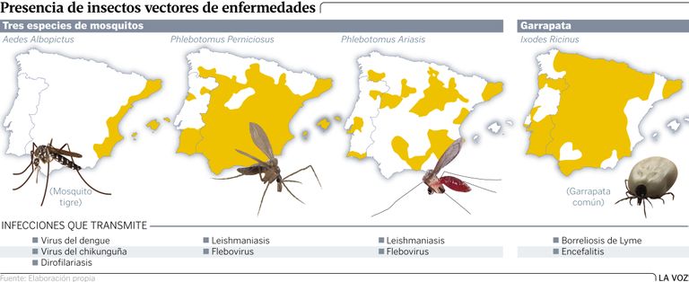 Los insectos cambian de hábitat