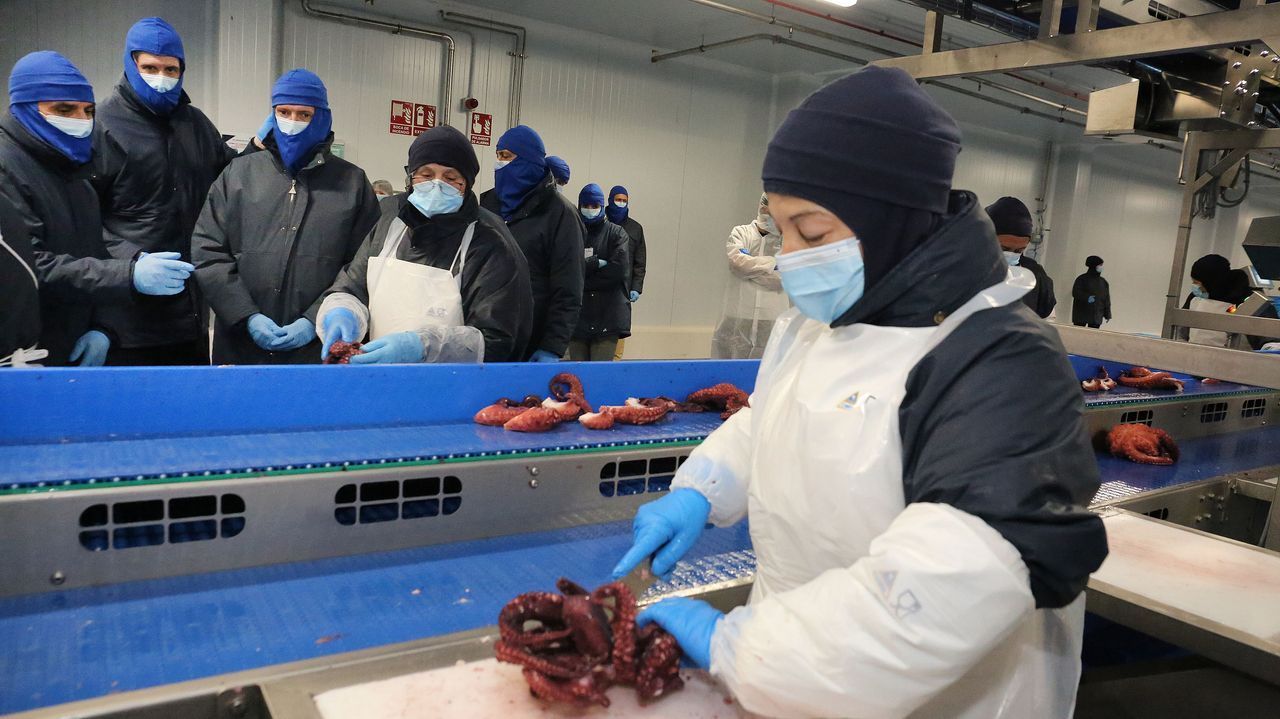 Profand refuerza su posición como un gigante del frío gallego con la ...