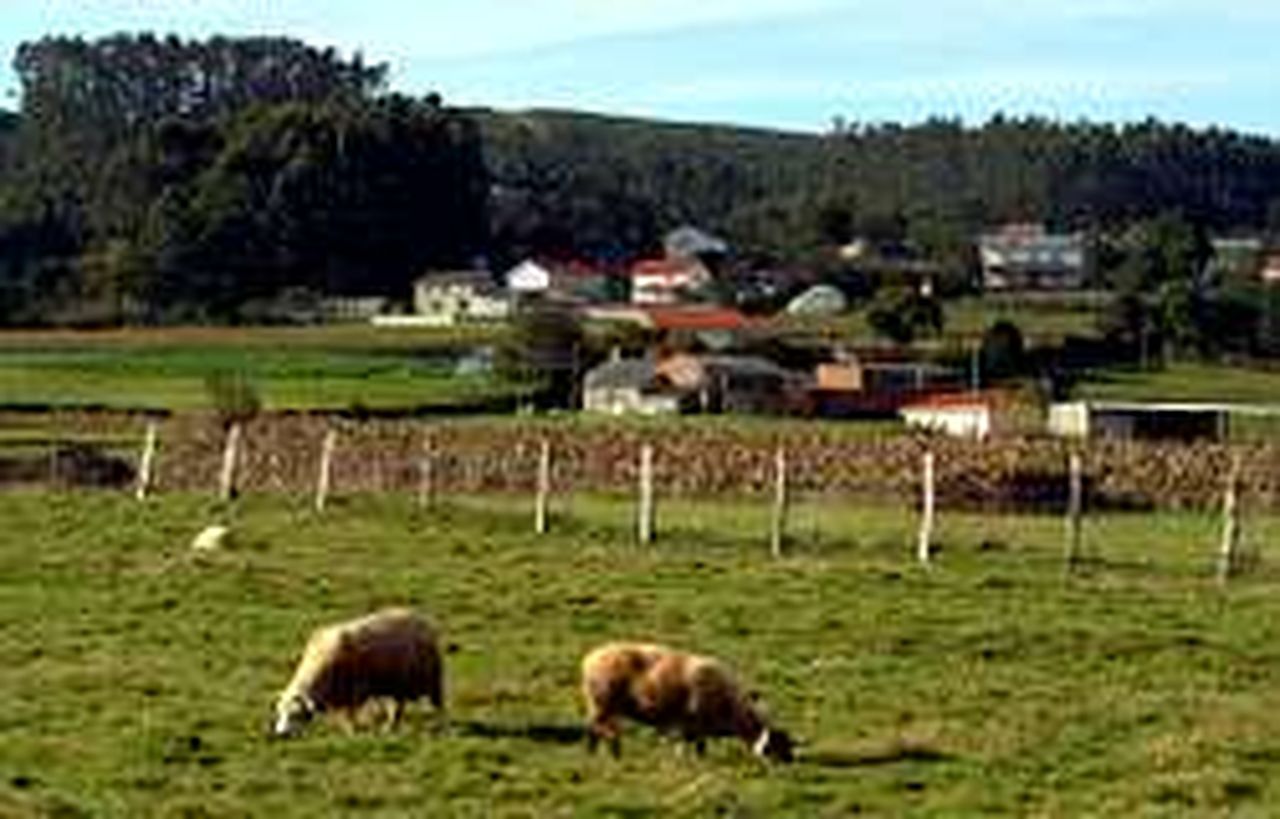 El Concello dará más facilidades para edificar en los núcleos rurales