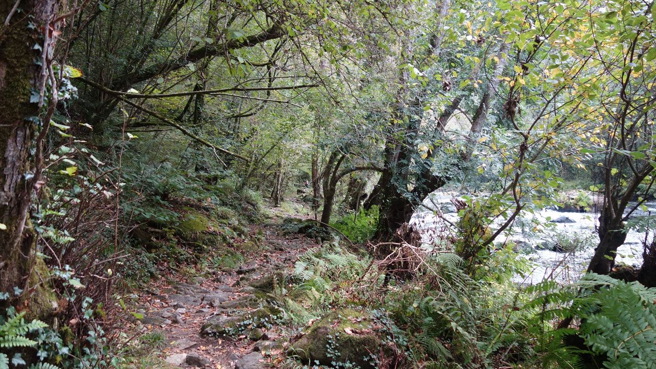 Cinco rutas de senderismo en las Fragas do Eume