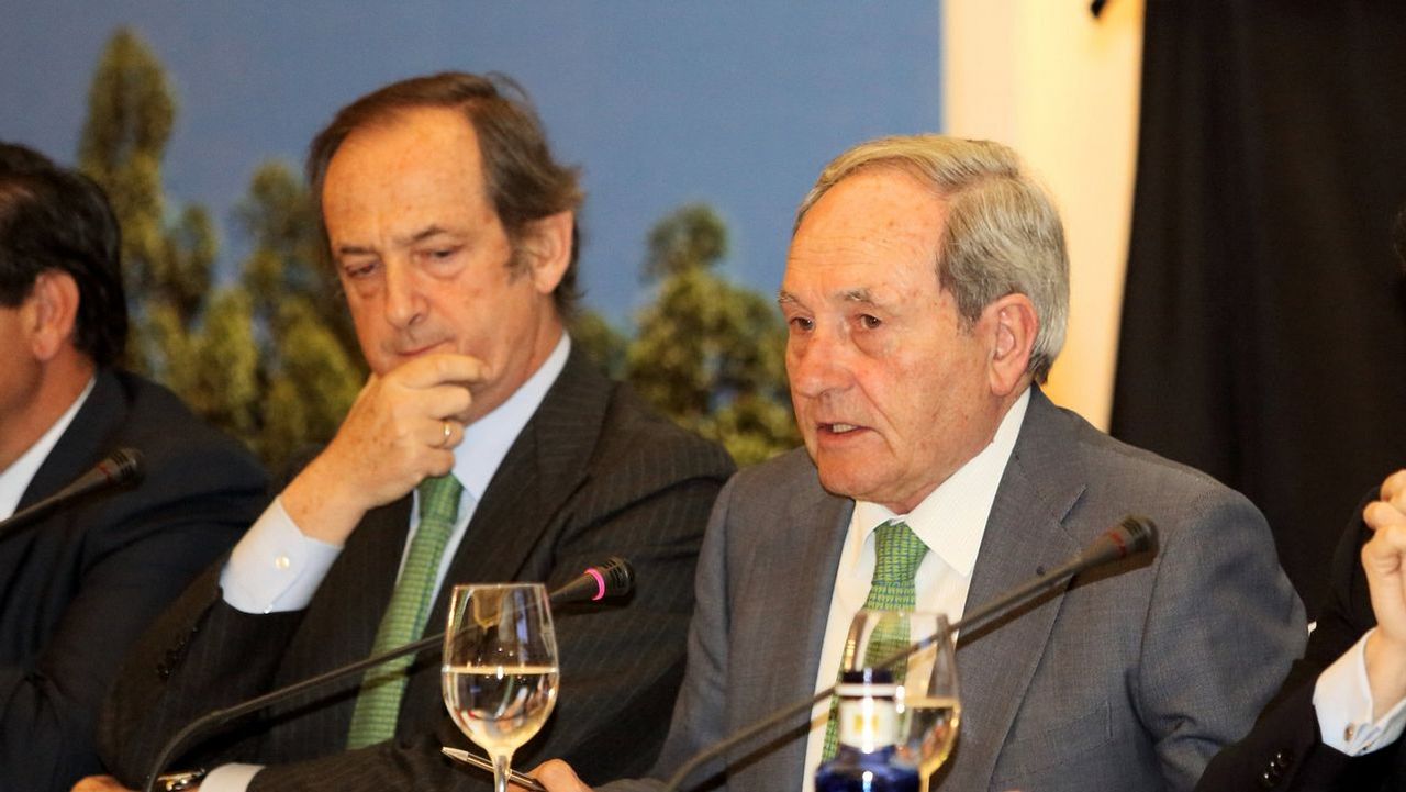 Ignacio Colmenares, nuevo presidente de Ence