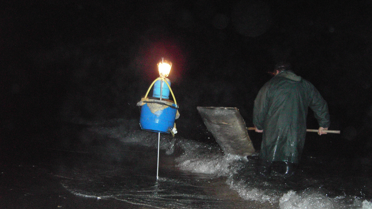 Asturias mantiene el límite máximo de 30 días de pesca de angula
