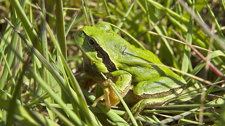 Un recorrido por las tierras del Cabe