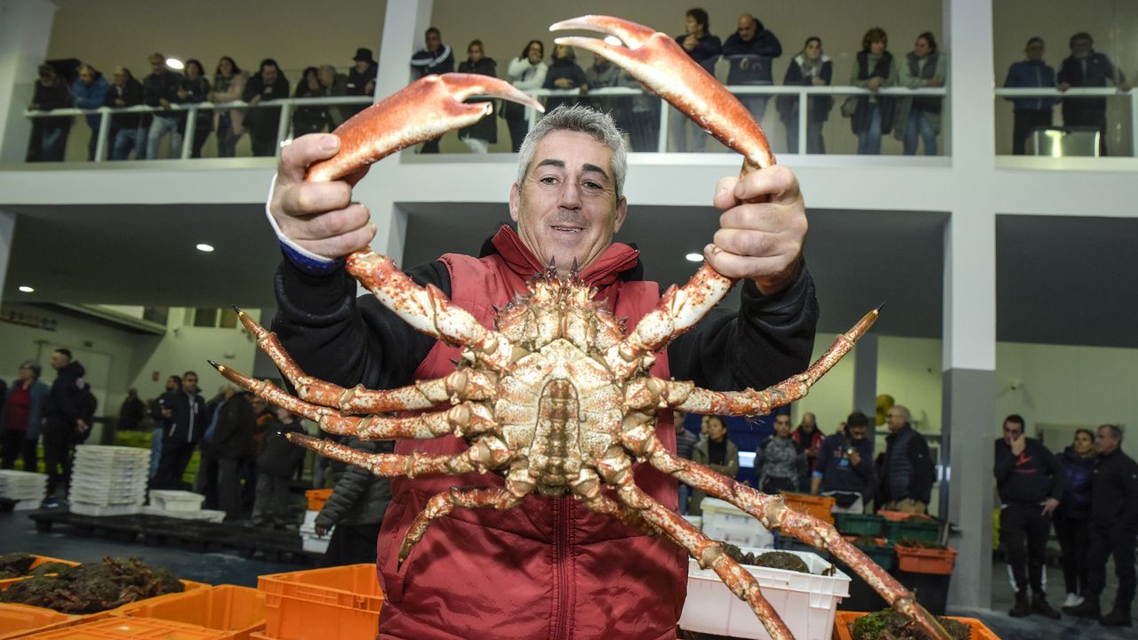 El precio del centollo sigue por las nubes