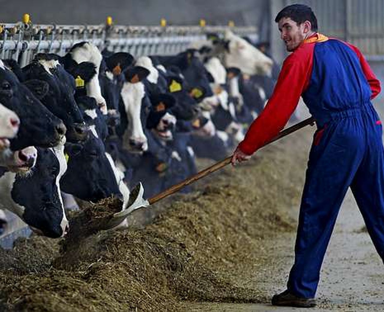 La ordeñada vida de los Liste-Liñares