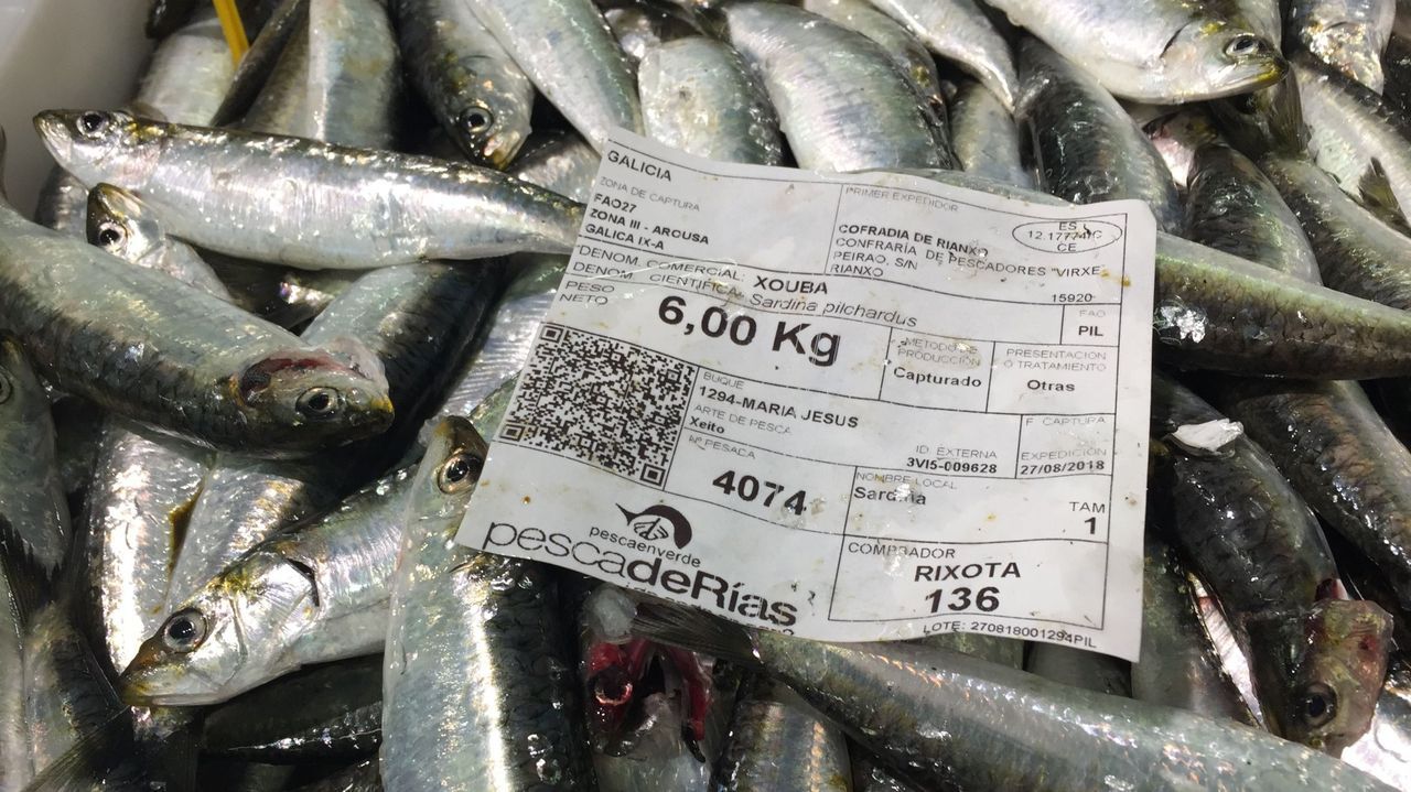 La cofradía de Rianxo demanda la reserva de una cuota específica para ...