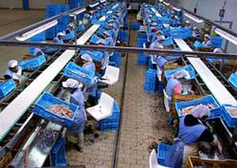 Facore invierte 1,2 millones de euros como primer paso para reflotar ...