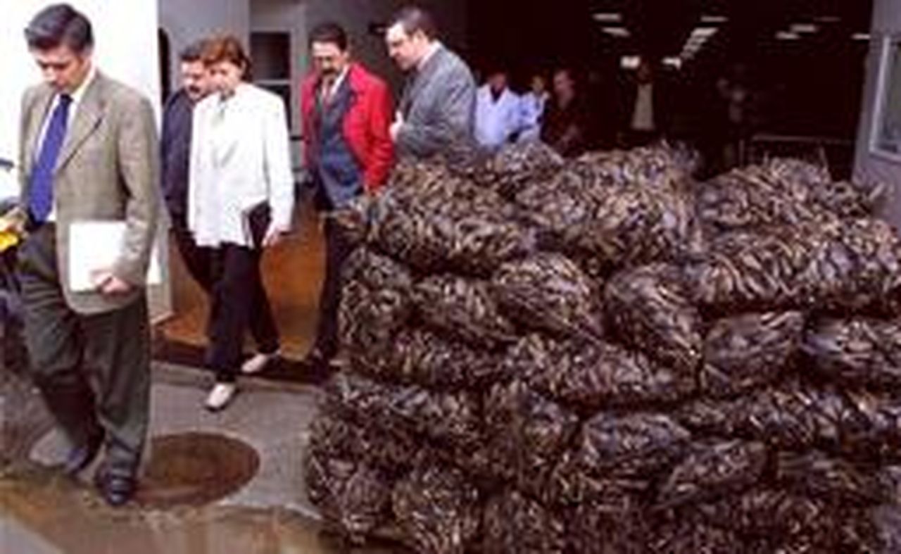 El Consello Regulador do Mexillón intenta asumir las funciones de Cemega