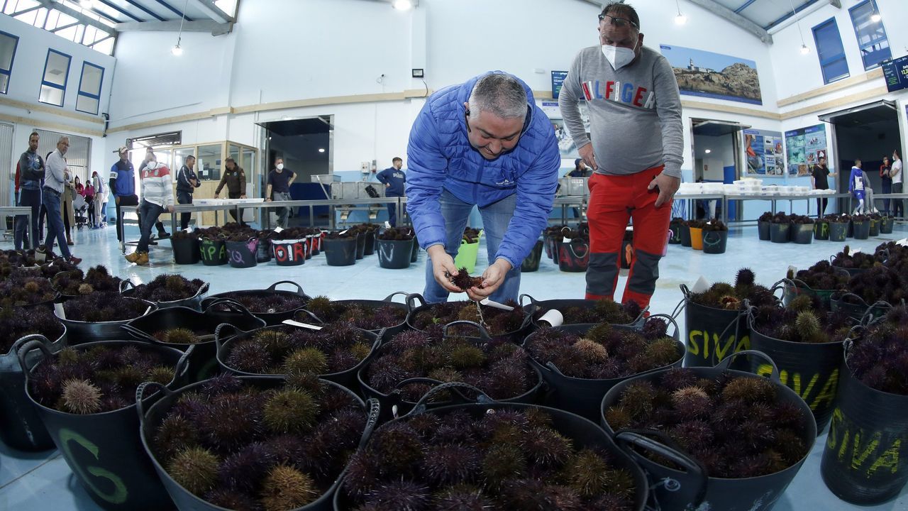 Mar pagará 178.285 euros a un camariñán al que dejó 3 años sin poder ...