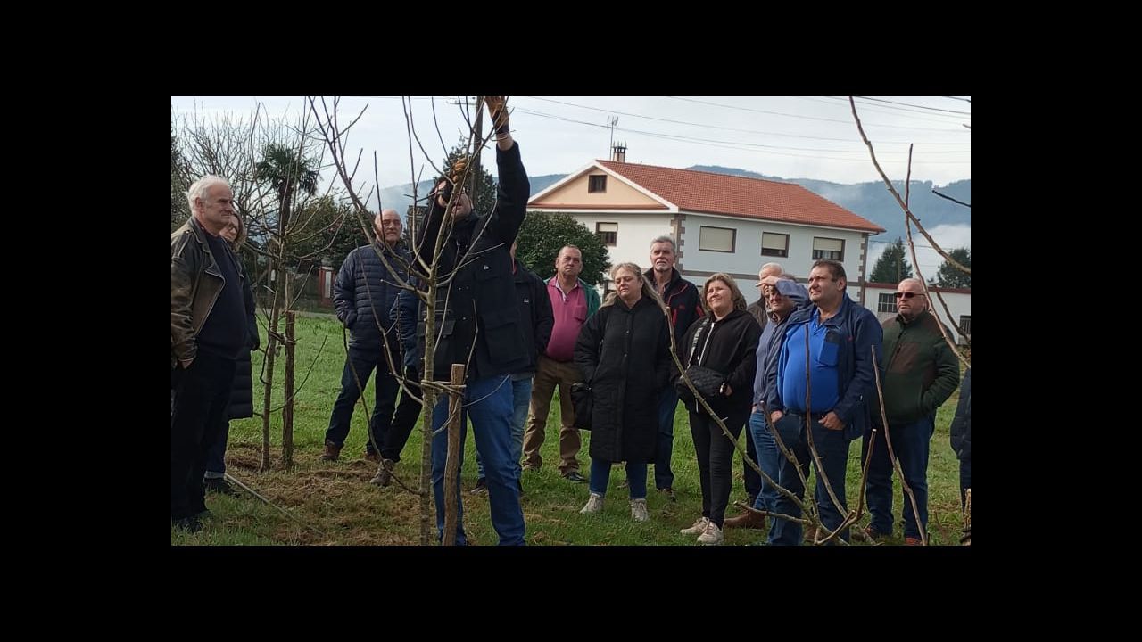 El club Bonsai ofreció un curso de poda con David Castellanos