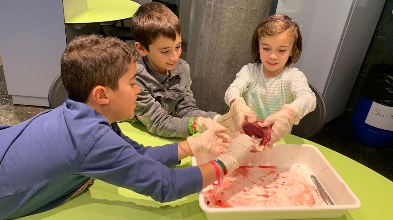 ¿Por qué el Ayuntamiento de A Coruña compra cerca de 100 corazones al año?