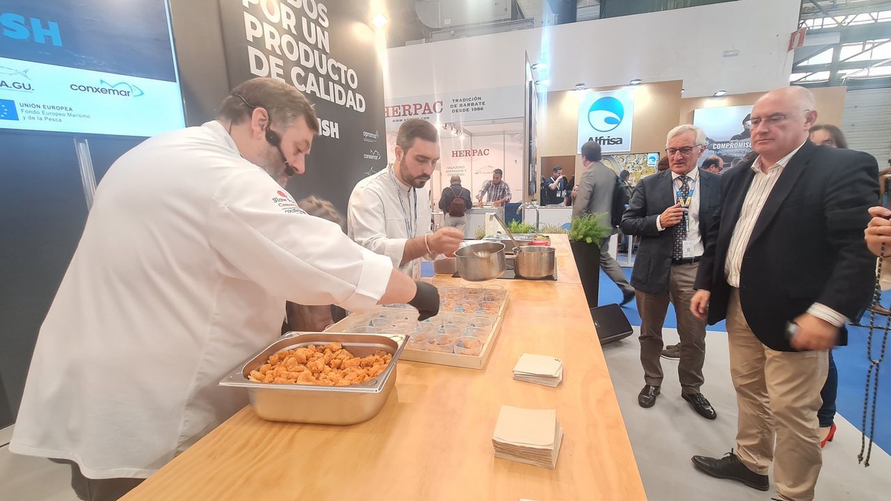 Interfish proyectará la tintorera a nivel nacional