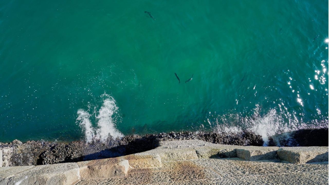 Monelos, el río que sigue vivo en A Coruña: «Cuando bajamos a verlo había anguilas»